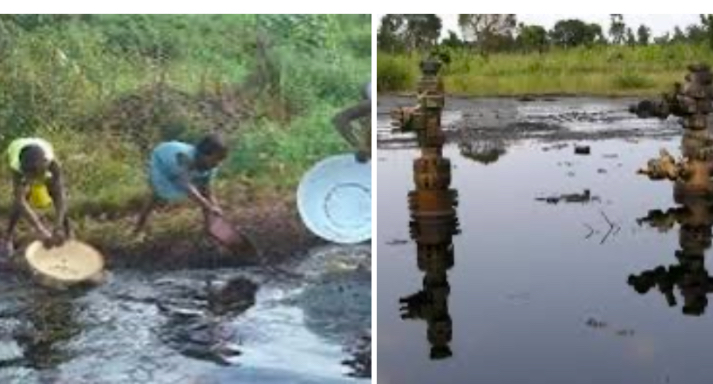 A farewell to arms in Ogoni - THE NETWORK